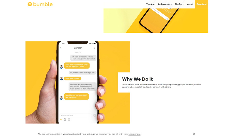 Bumble Review in 2022 Costs, Pros, Cons and Special Features